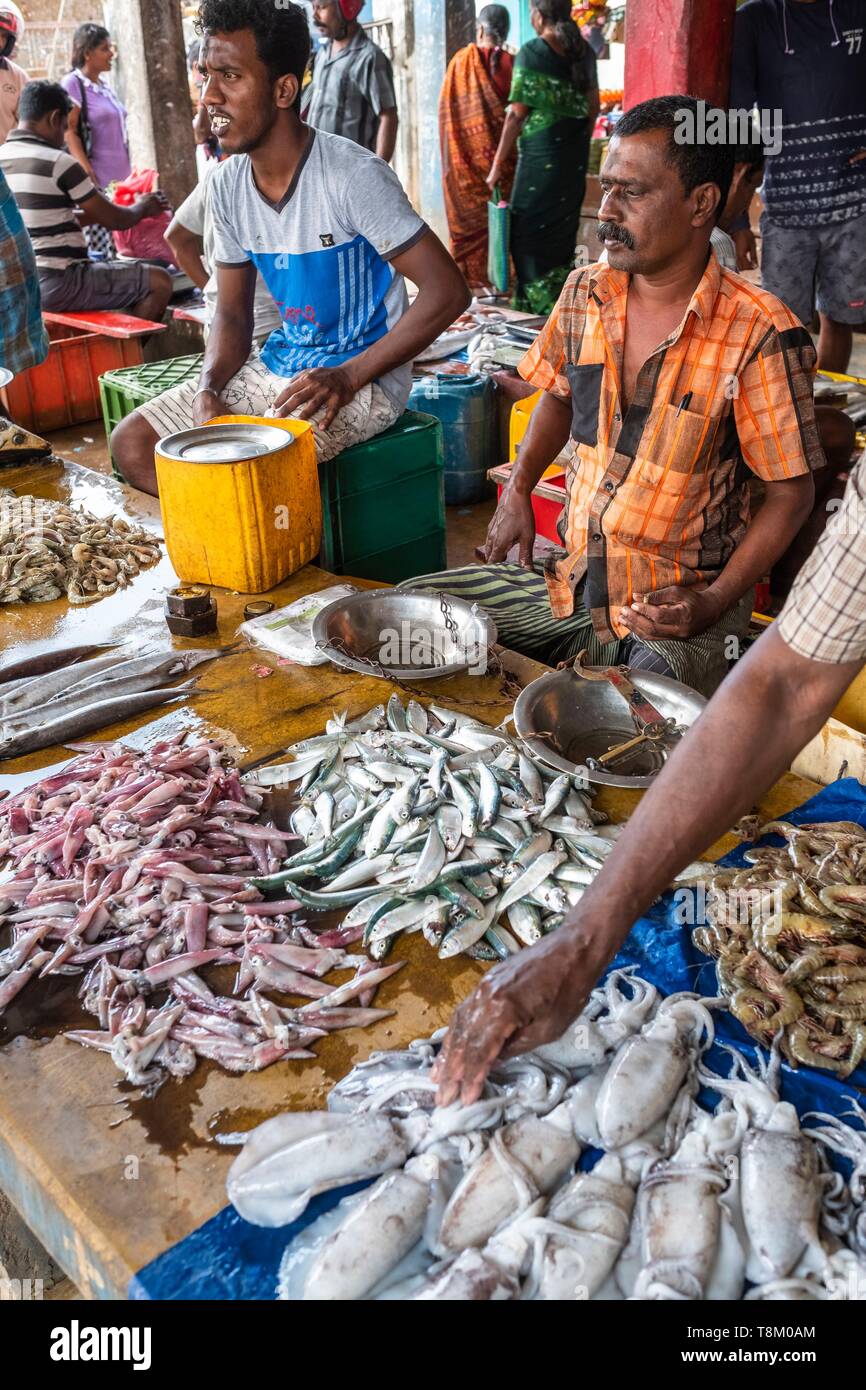 Sri Lanka, Northern province, Jaffna peninsula, Point Pedro is a town ...