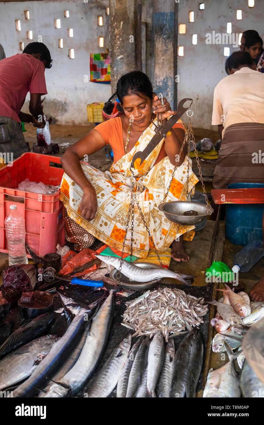 Sri Lanka, Northern province, Jaffna peninsula, Point Pedro is a town ...
