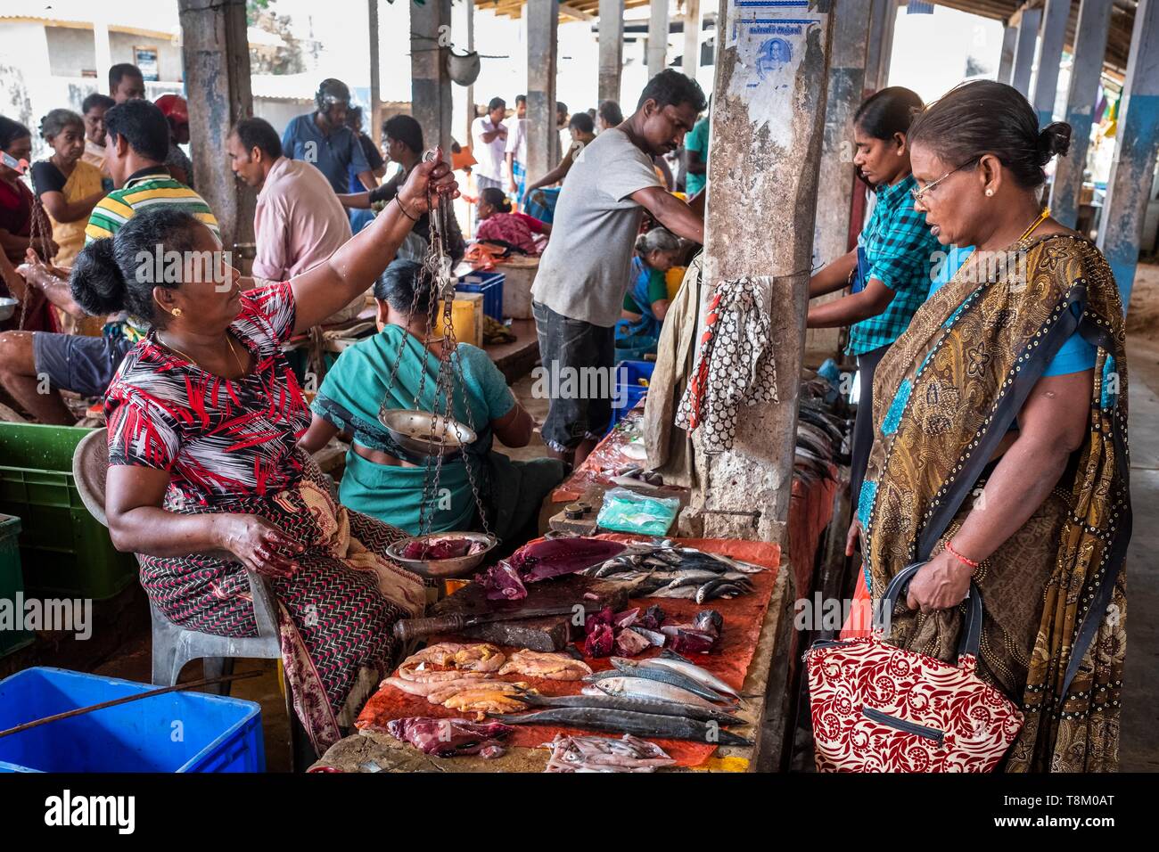 Sri Lanka, Northern province, Jaffna peninsula, Point Pedro is a town ...
