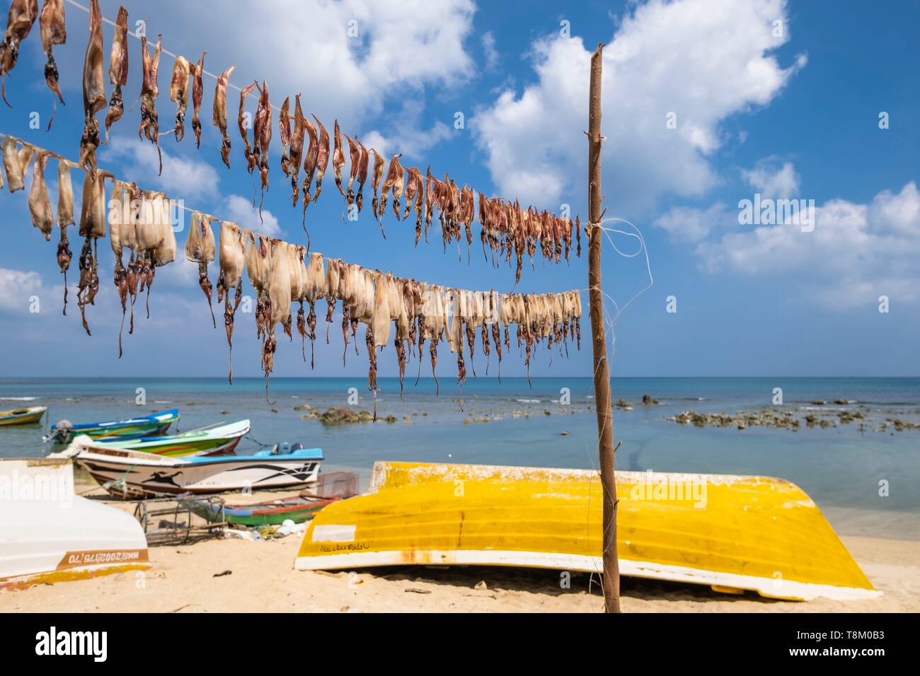 Sri Lanka, Northern province, Jaffna peninsula, Point Pedro is a town ...