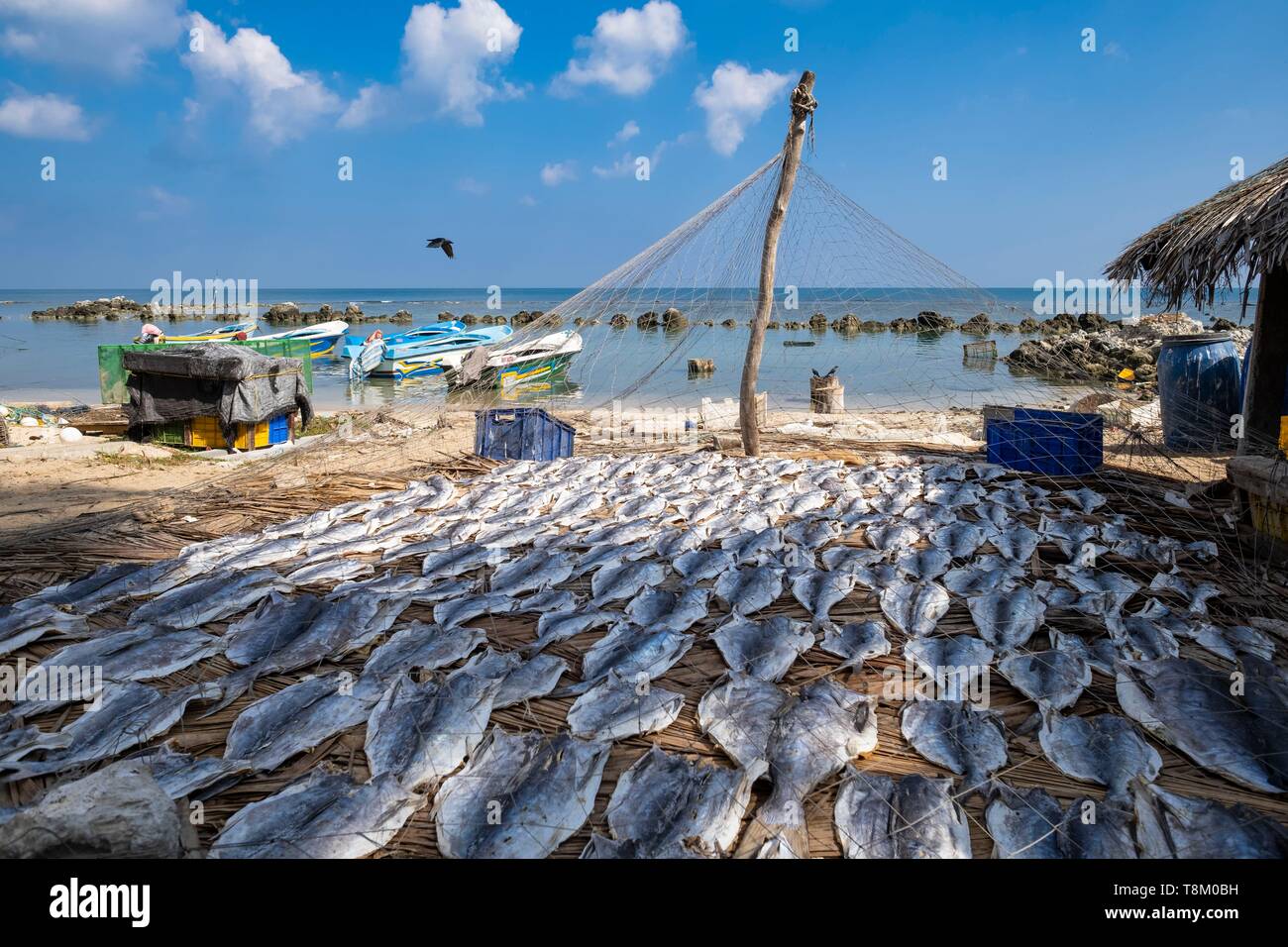Sri Lanka, Northern province, Jaffna peninsula, Point Pedro is a town ...