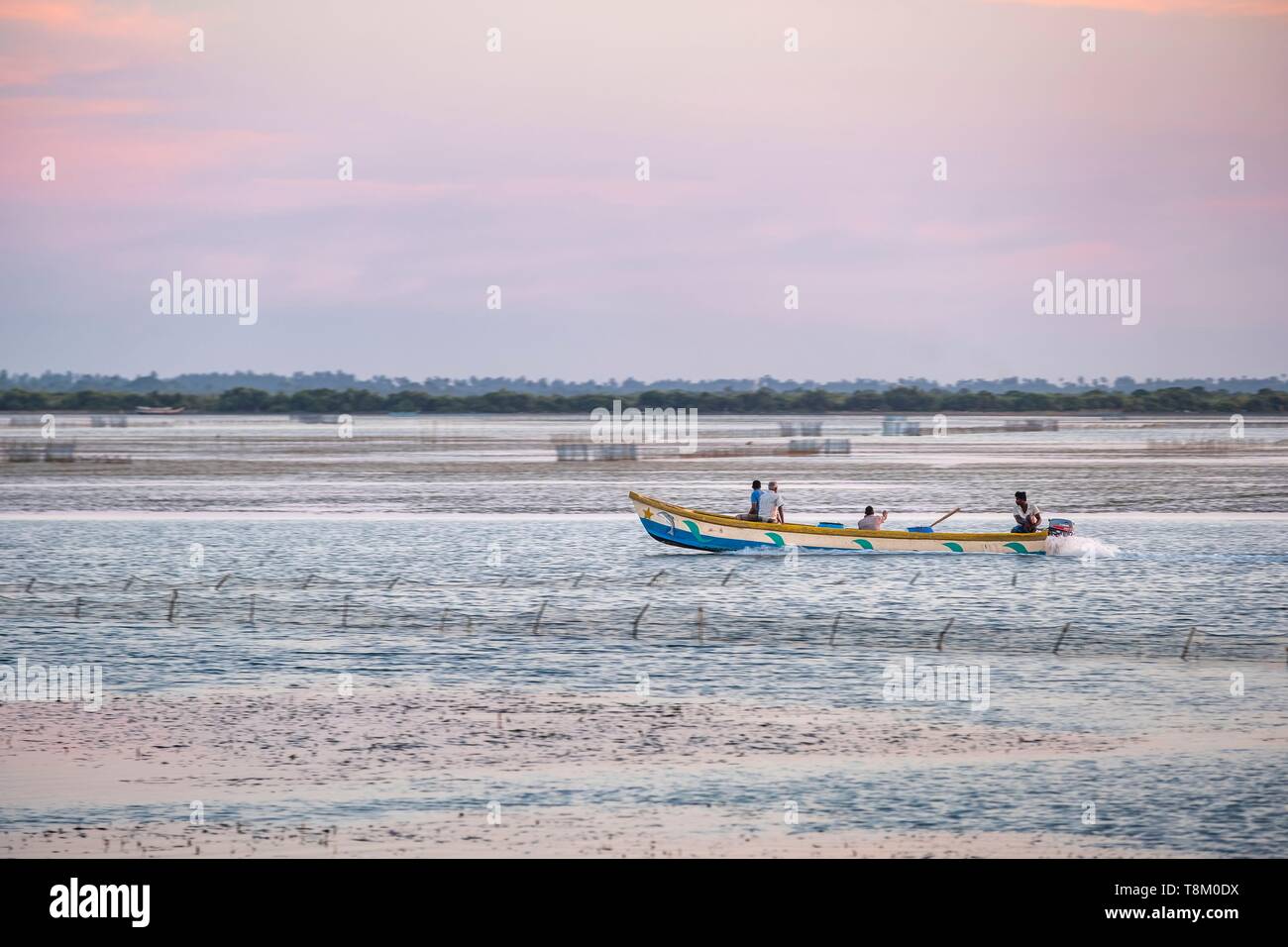 Palk High Resolution Stock Photography and Images - Alamy