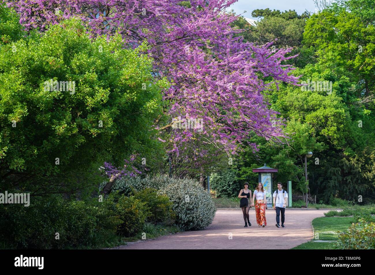 France, Rhone, Lyon, 6th arrondissement, Parc de la Tête d'Or (Park of ...