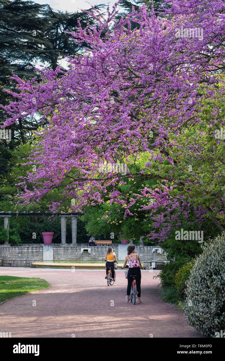 France, Rhone, Lyon, 6th arrondissement, Parc de la Tête d'Or (Park of ...