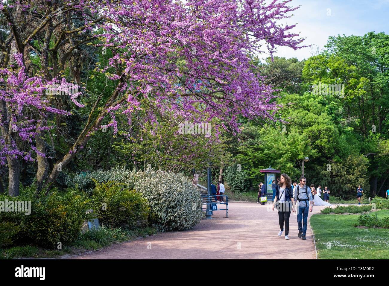 France, Rhone, Lyon, 6th arrondissement, Parc de la Tête d'Or (Park of ...