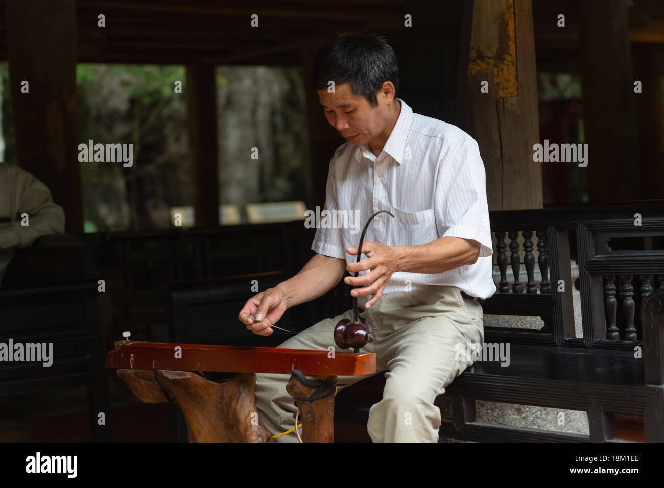 Playing traditional stringed instrument hi-res stock photography and ...