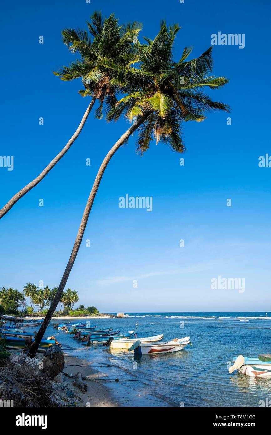 Sri Lanka, Eastern province, Trincomalee (or Trinquemalay), Sampalthivu ...