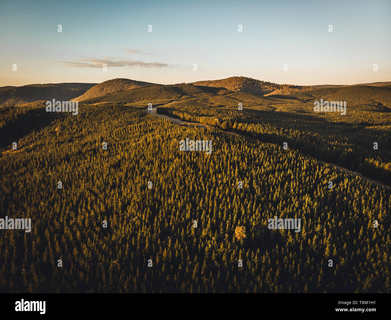 Taradale hi-res stock photography and images - Alamy