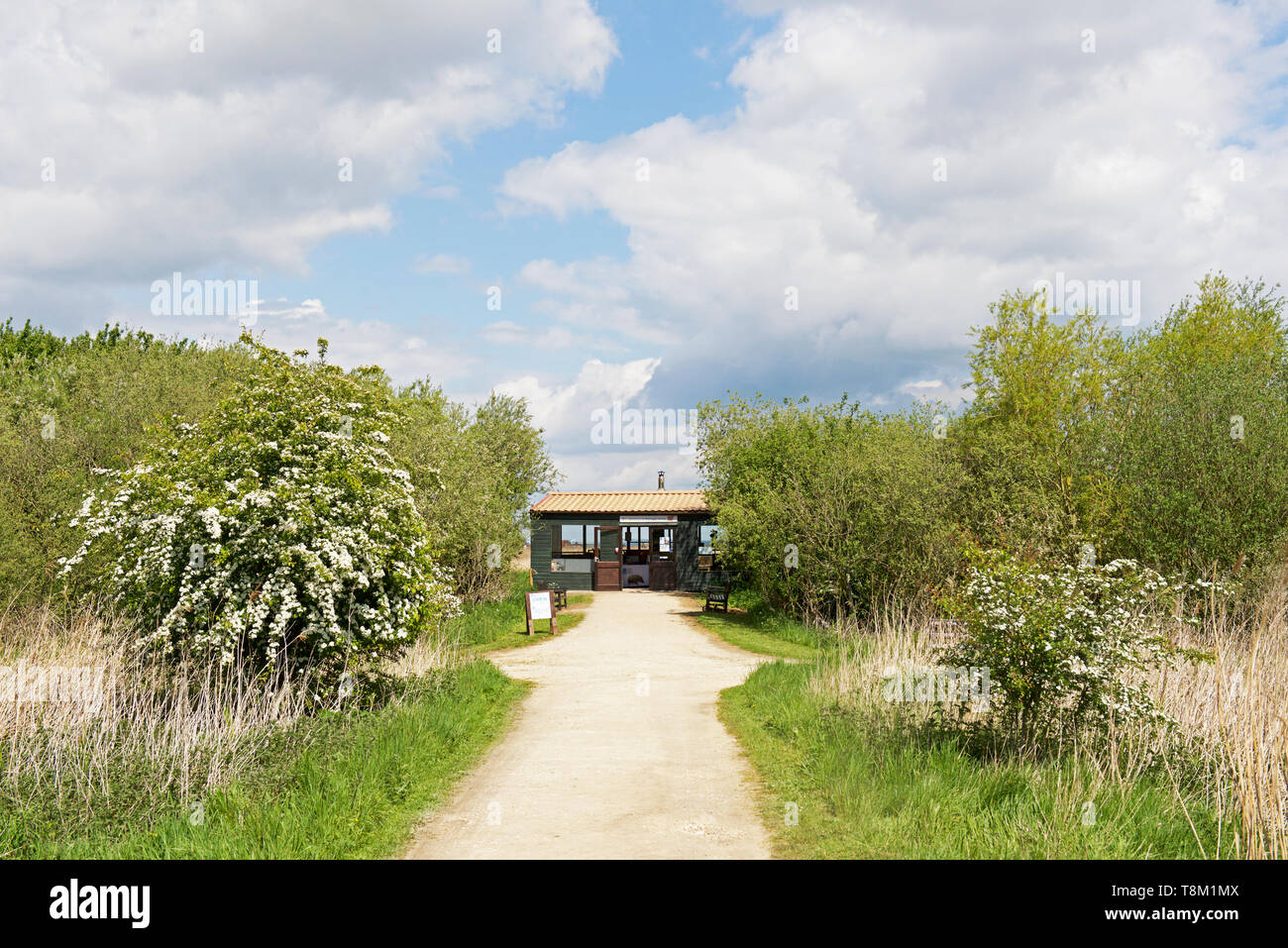 Blacktoft Sands, RSPB Nature Reserve, East Yorkshire, England UK Stock ...