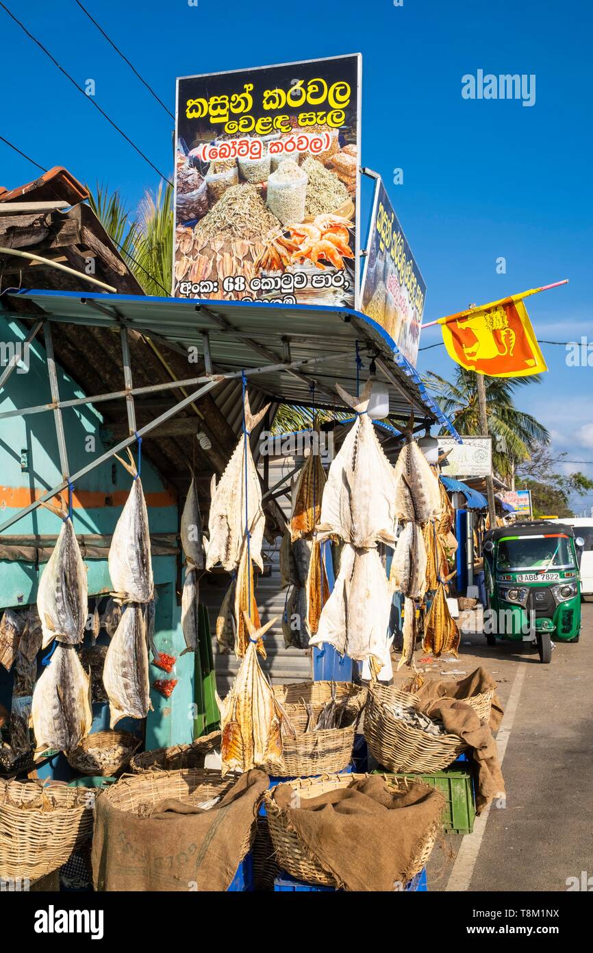 Southern fish hi-res stock photography and images - Alamy