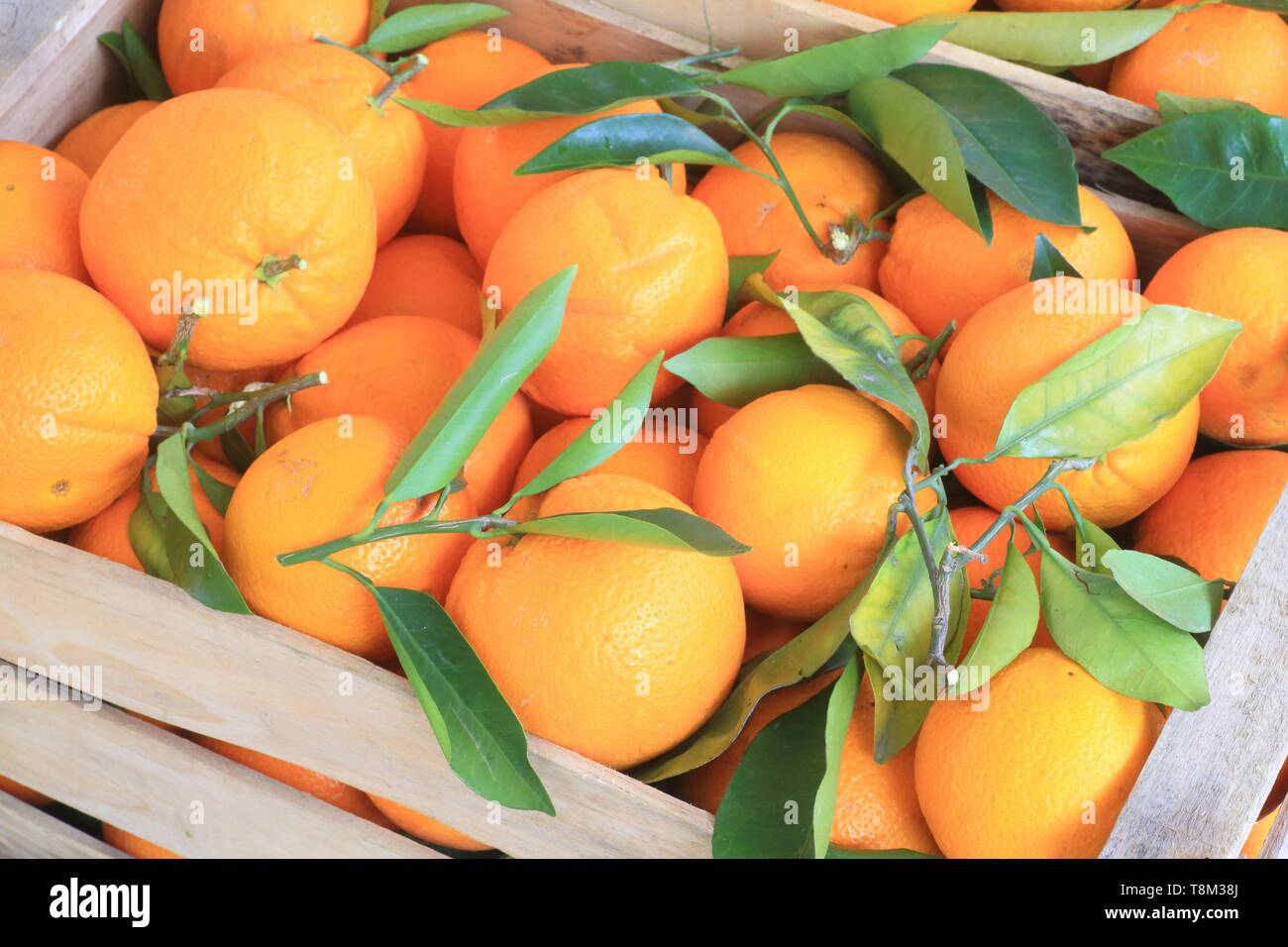 Horizontal orange europe european hi-res stock photography and images ...