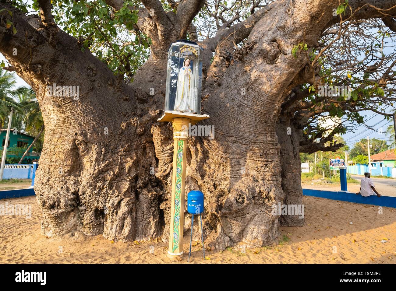 Sri Lanka, Northern province, Mannar island, Mannar city, the old ...
