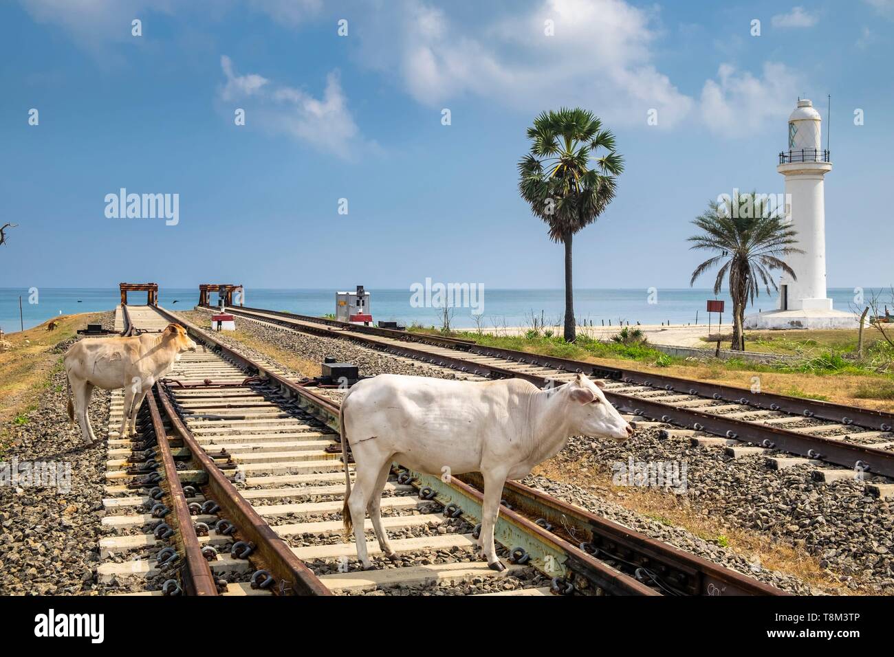 Sri lanka mannar line hi-res stock photography and images - Alamy