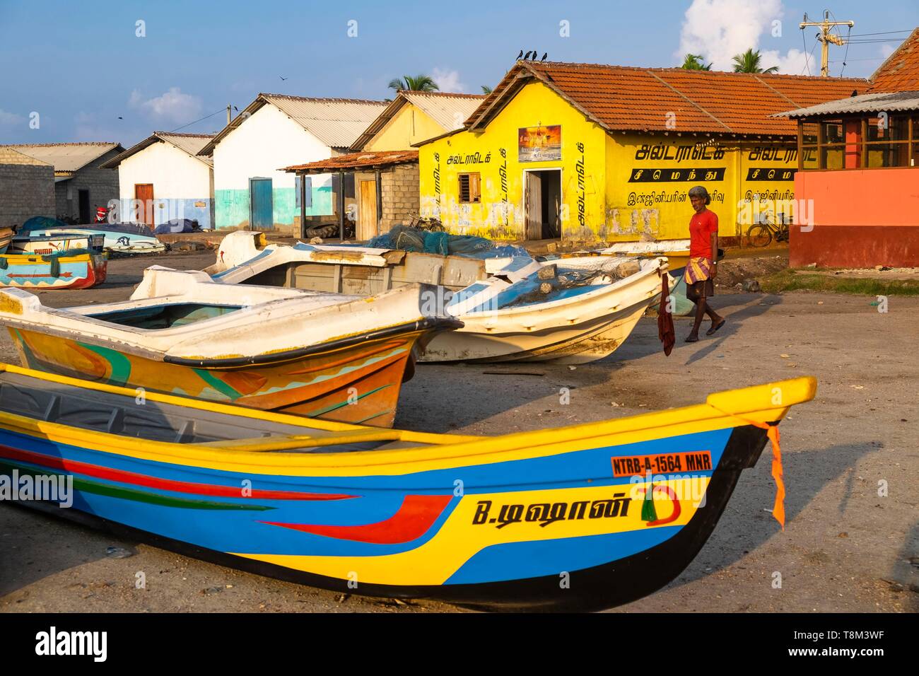Sri Lanka, Northern province, Mannar island, Mannar city, the fishing ...