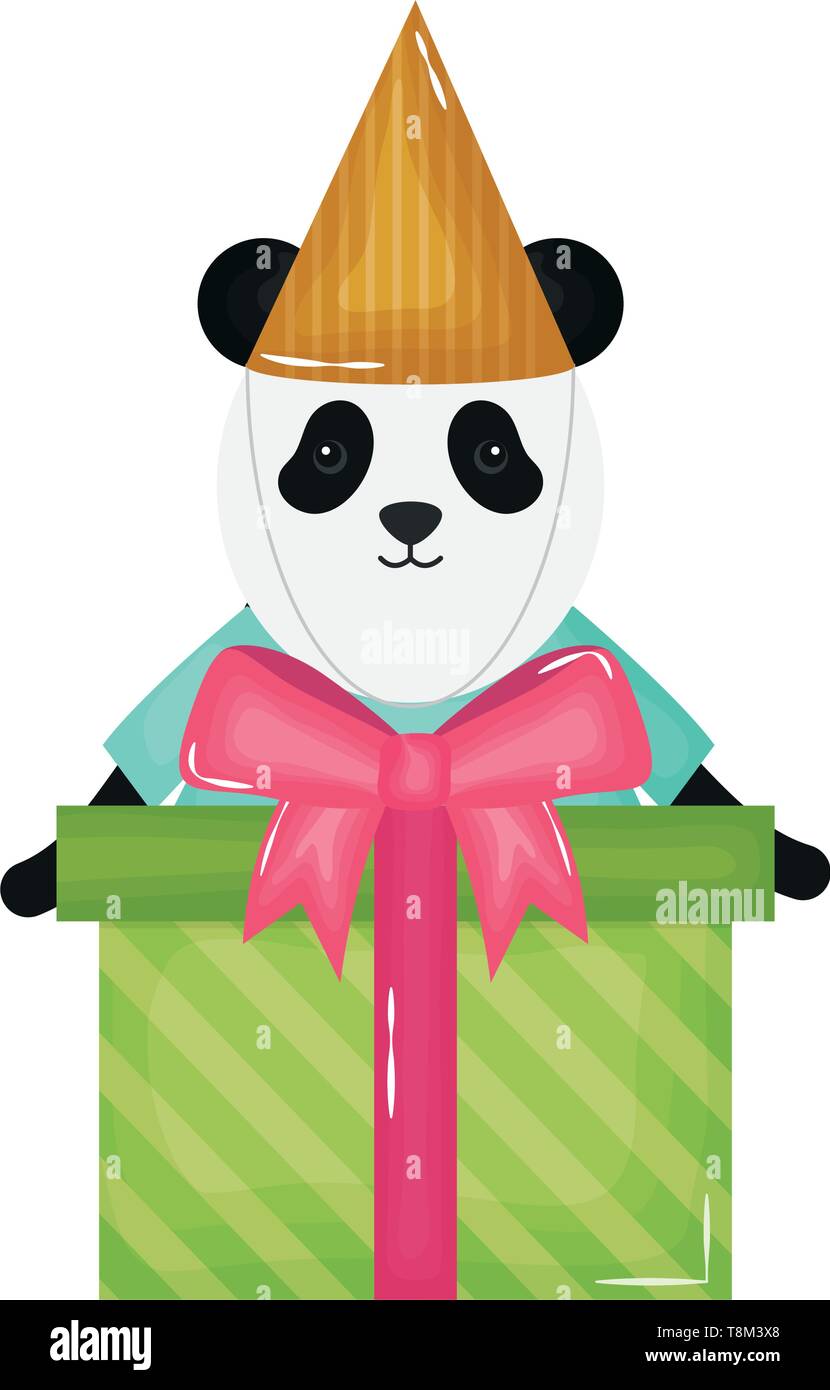 cute bear panda with gifts boxes in birthday party vector illustration ...