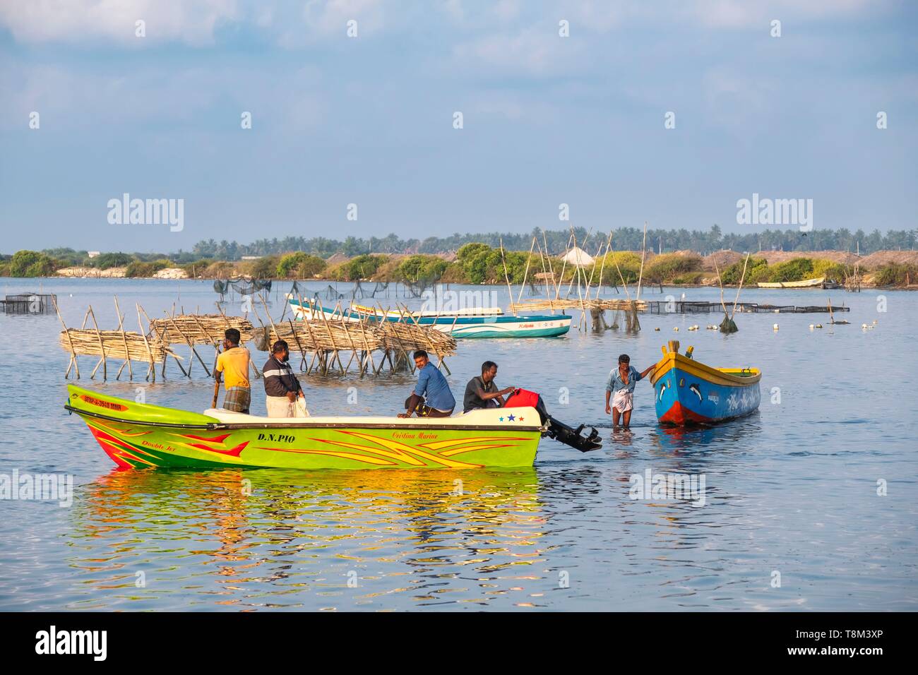 Sri Lanka, Northern province, Mannar island, Mannar city, the fishing ...