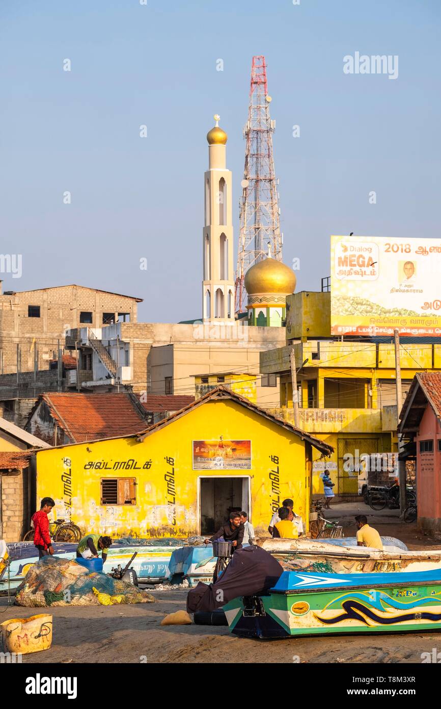 Sri Lanka, Northern province, Mannar island, Mannar city, the fishing harbour Stock Photo - Alamy