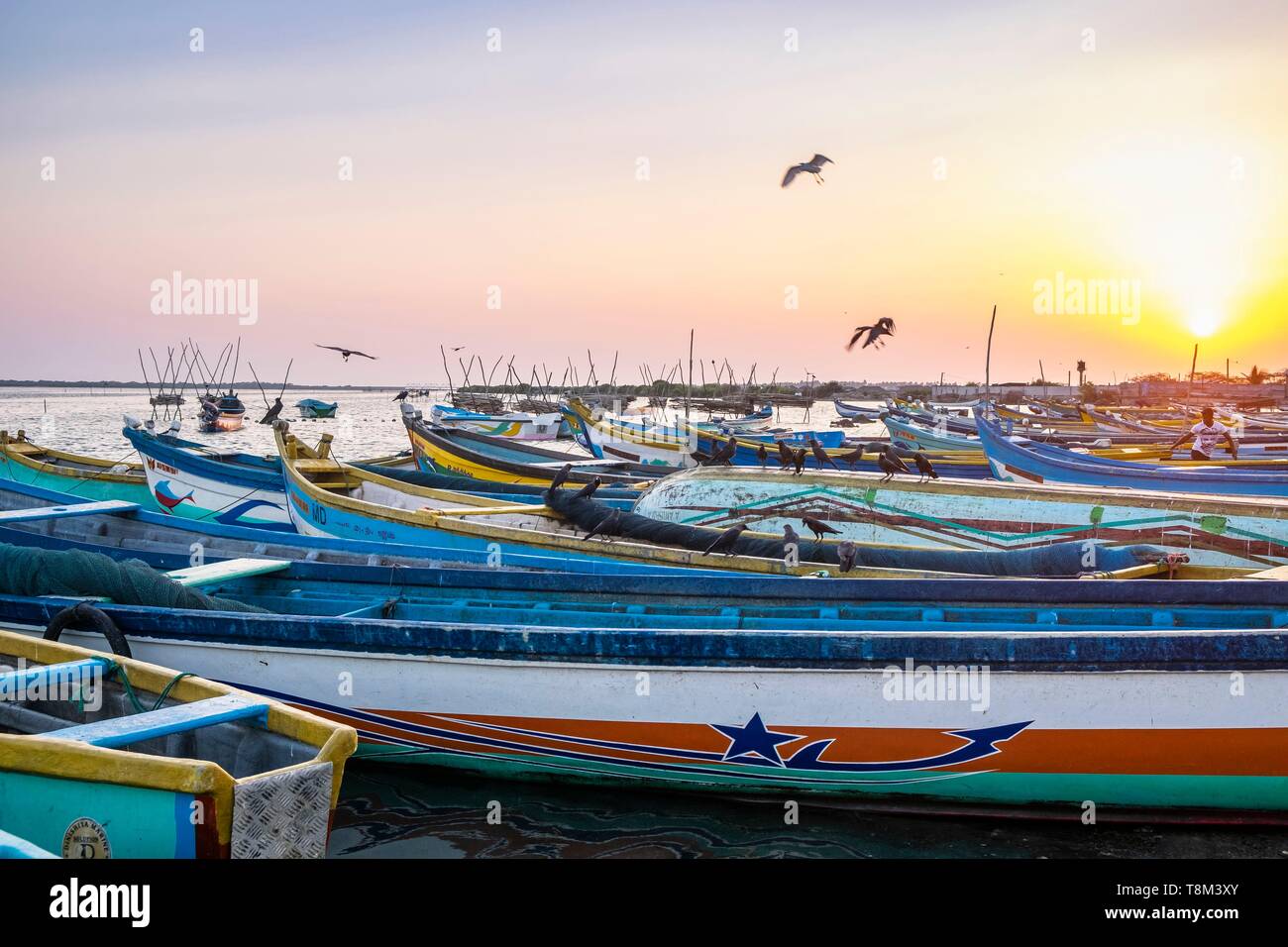 Sri Lanka, Northern province, Mannar island, Mannar city, the fishing ...