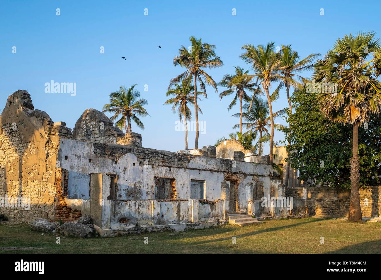 Sri Lanka, Northern province, Mannar island, Mannar city, Mannar Fort ...