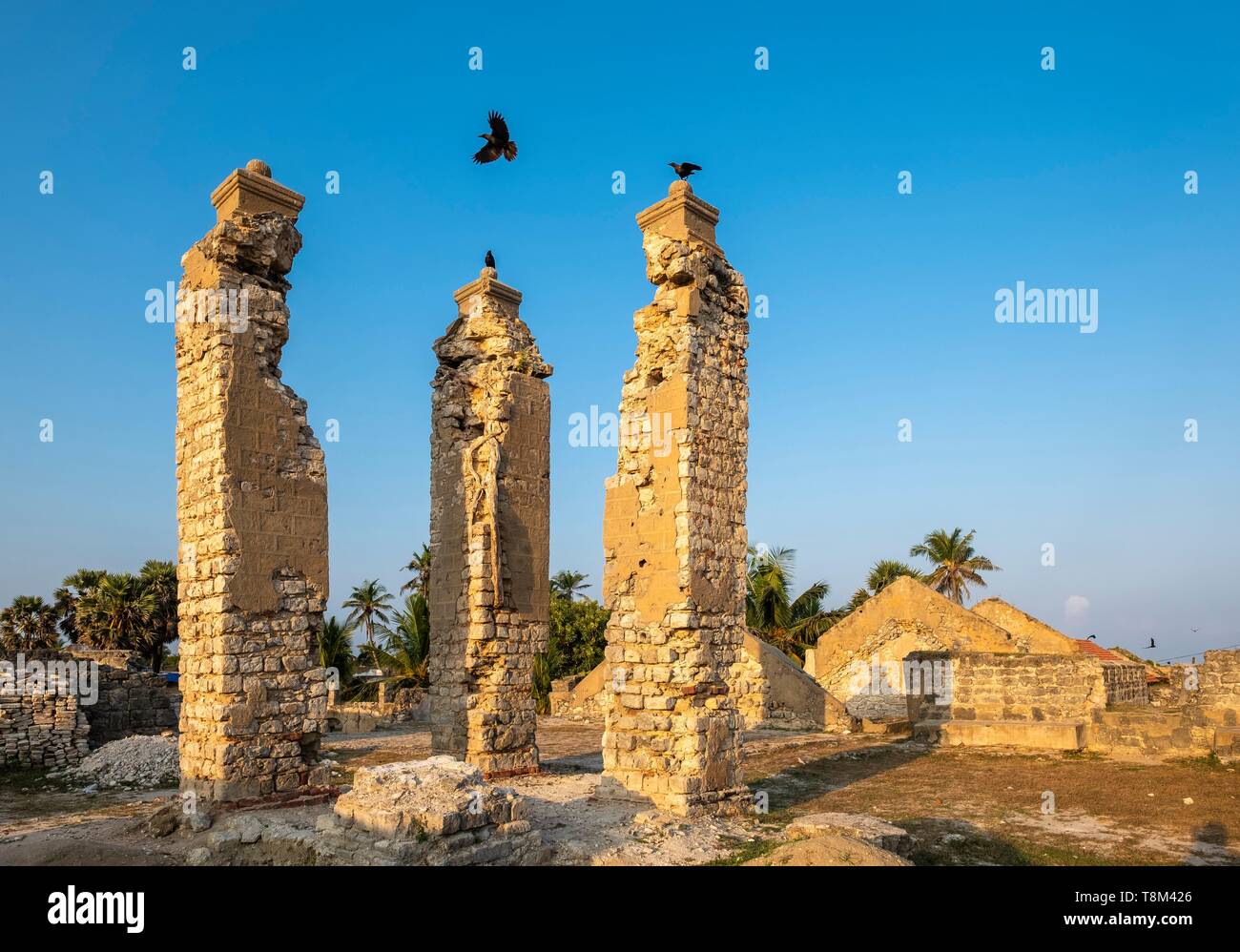 Mannar hi-res stock photography and images - Alamy