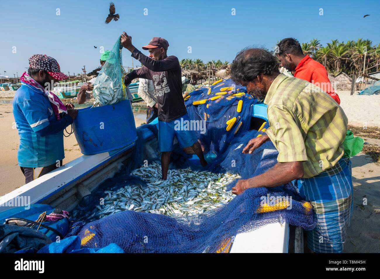 Sri lanka fishing village hi-res stock photography and images - Alamy