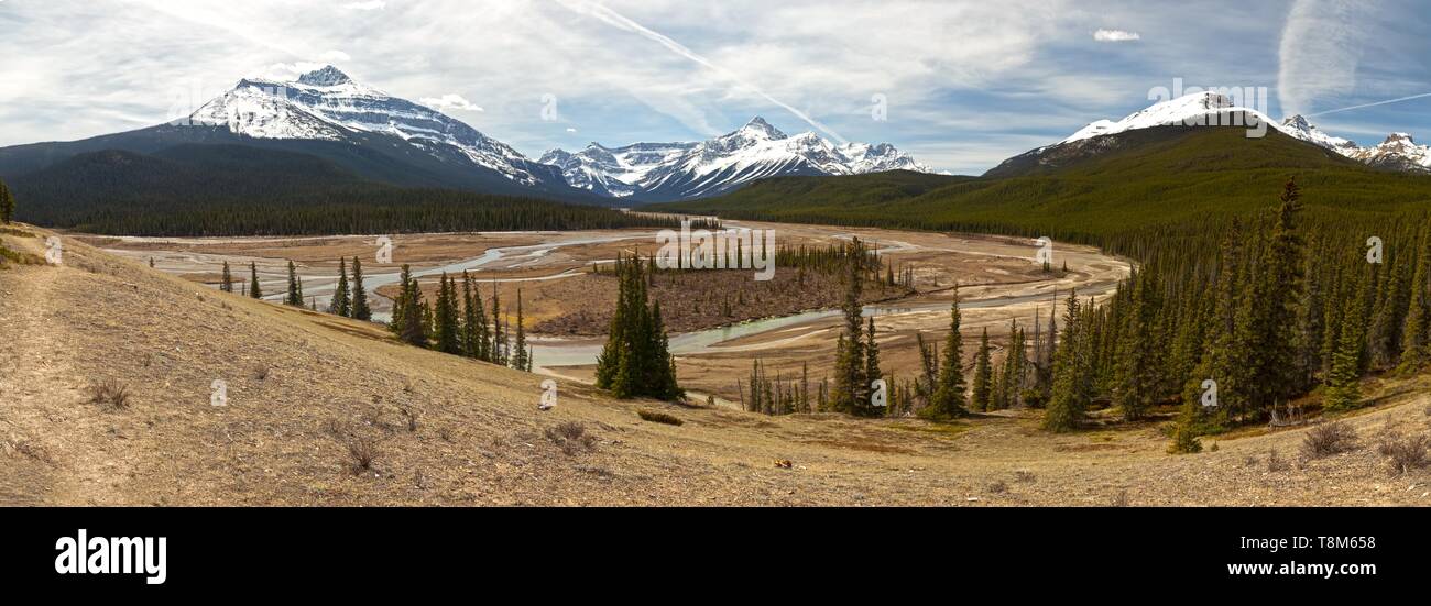 Scenic Panoramic Landscape View Howse River Flats Distant Rocky ...