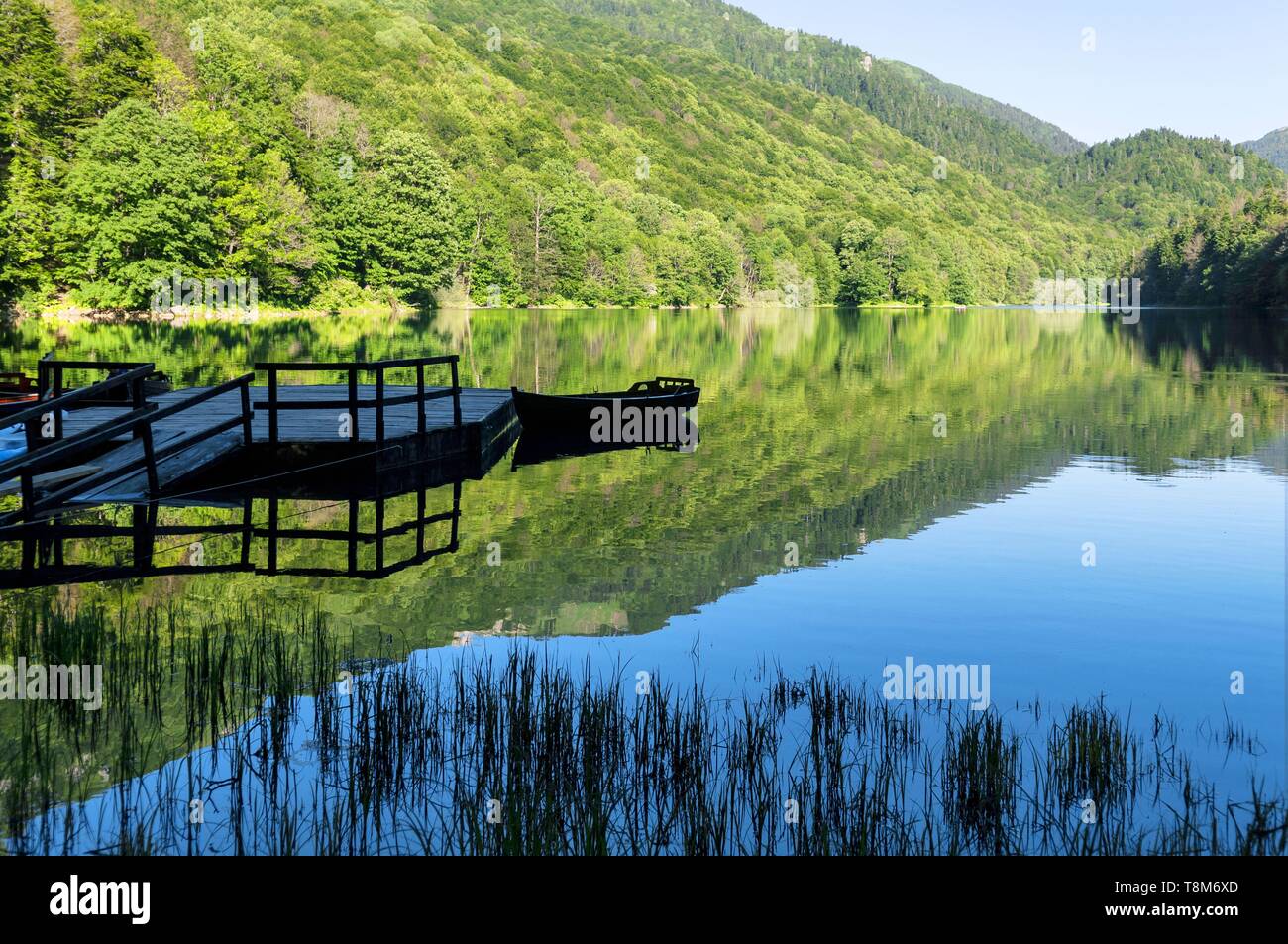 Montenegro biogradska gora hi-res stock photography and images - Alamy
