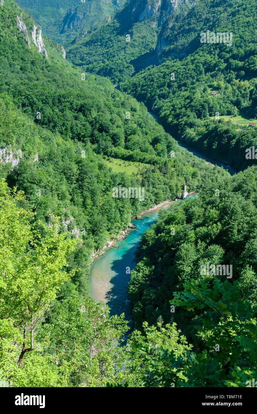 Tara River 600 X 422