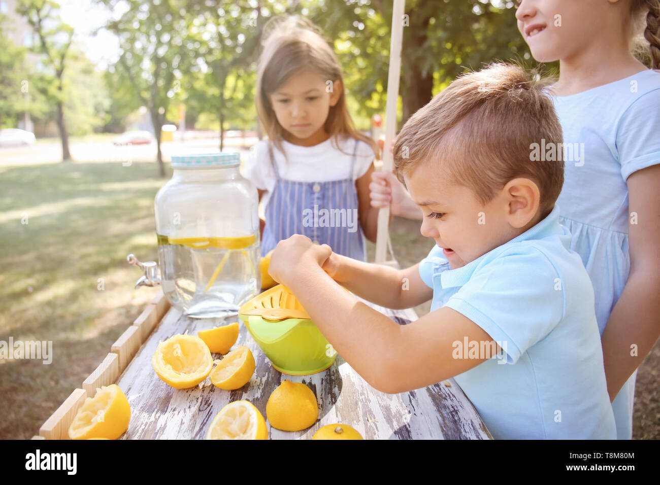Little boy preparing fresh lemonade in park Stock Photo - Alamy