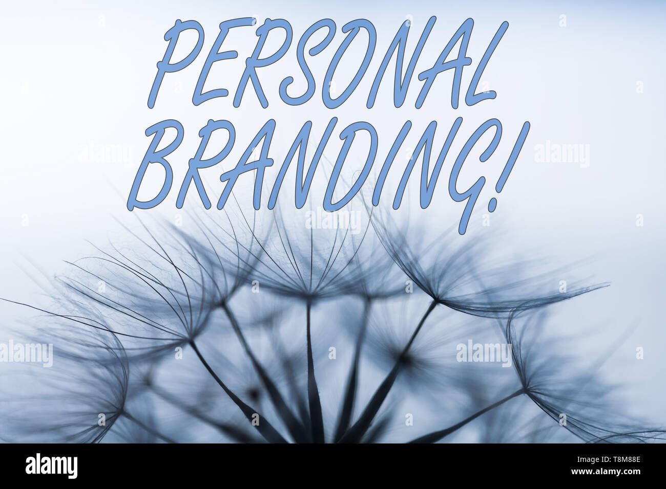 Handwriting text writing Personal Branding. Conceptual photo process of ...