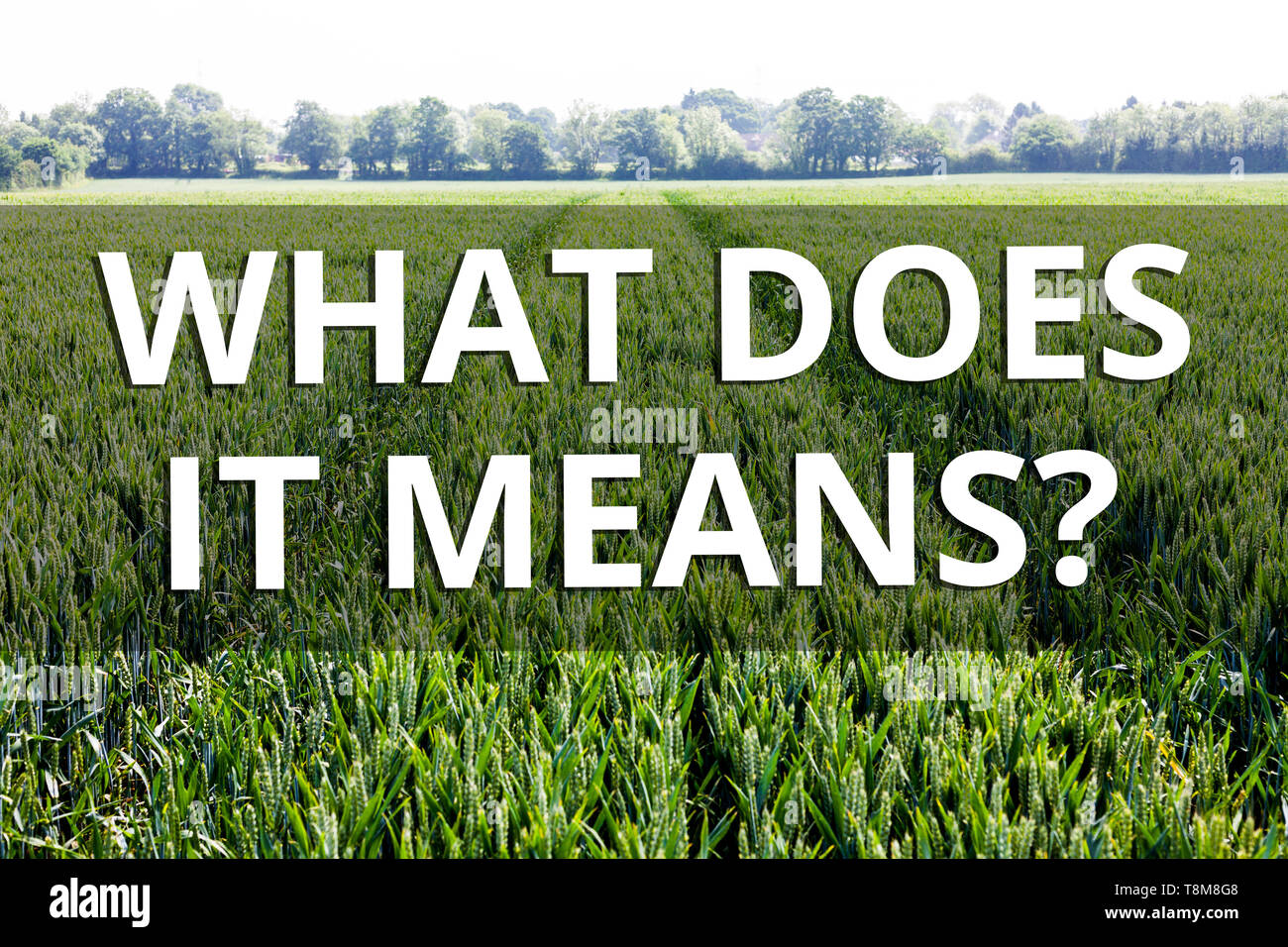 Handwriting text What Does It Means question. Conceptual photo asking ...