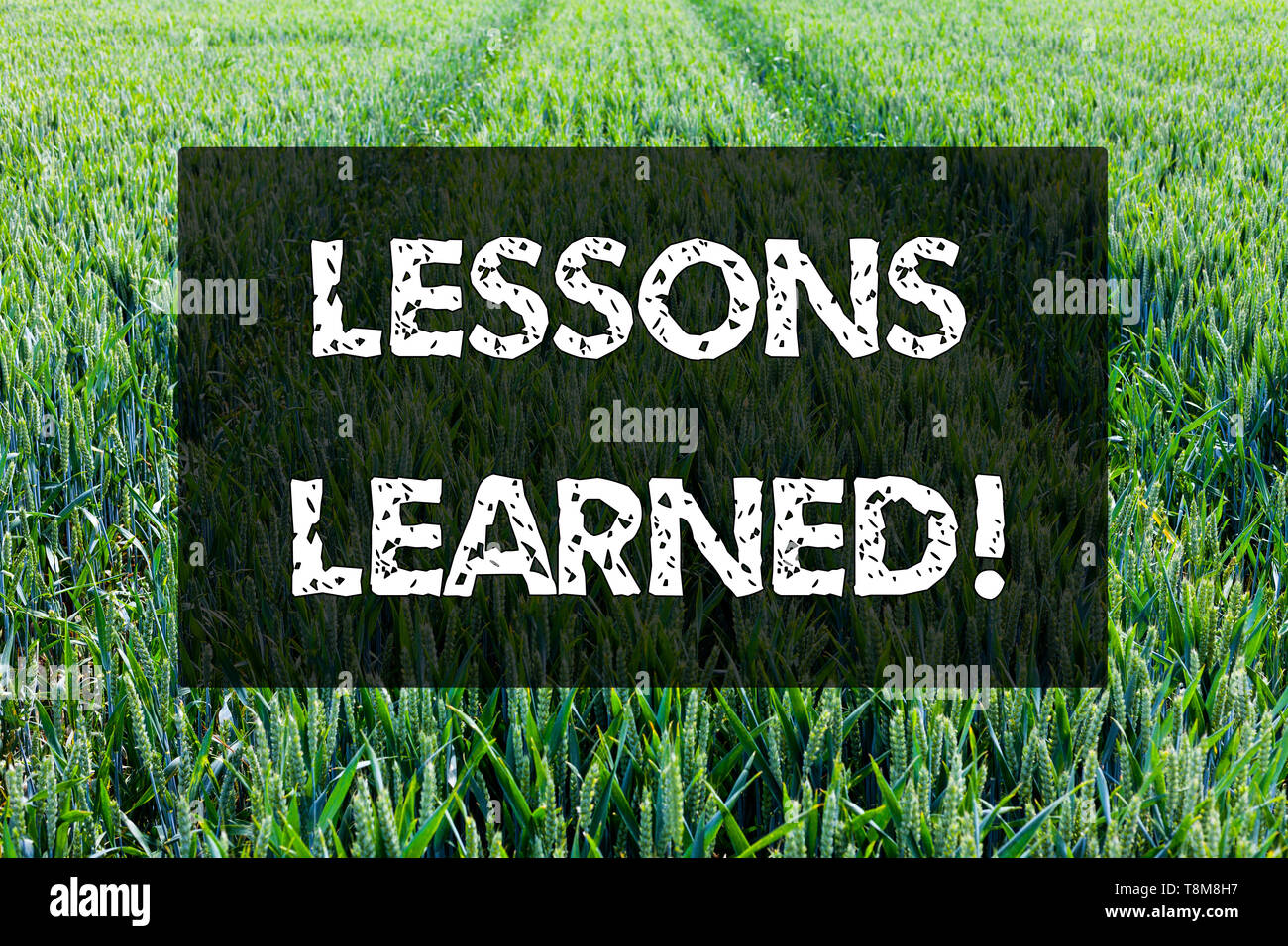 Word writing text Lessons Learned. Business photo showcasing experiences distilled project that ...