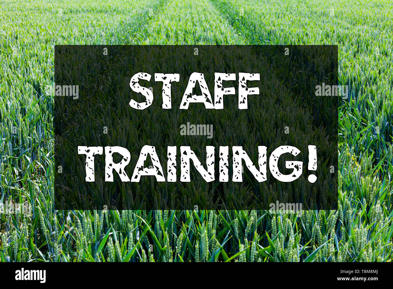 Word writing text Staff Training. Business photo showcasing learn ...