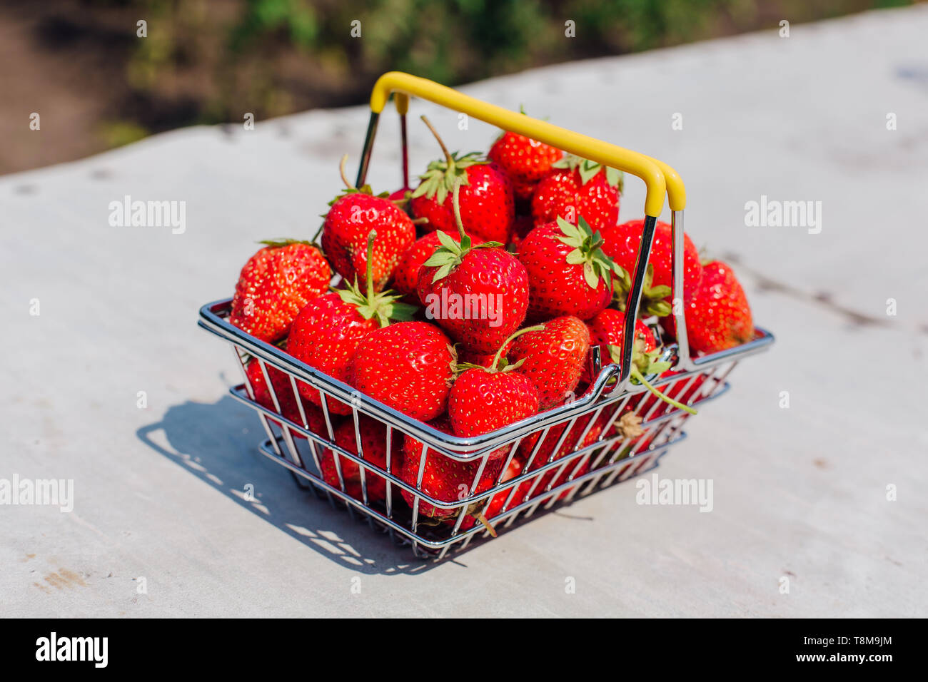 Mini shopping basket full of fresh red ripe strawberry on old grey ...