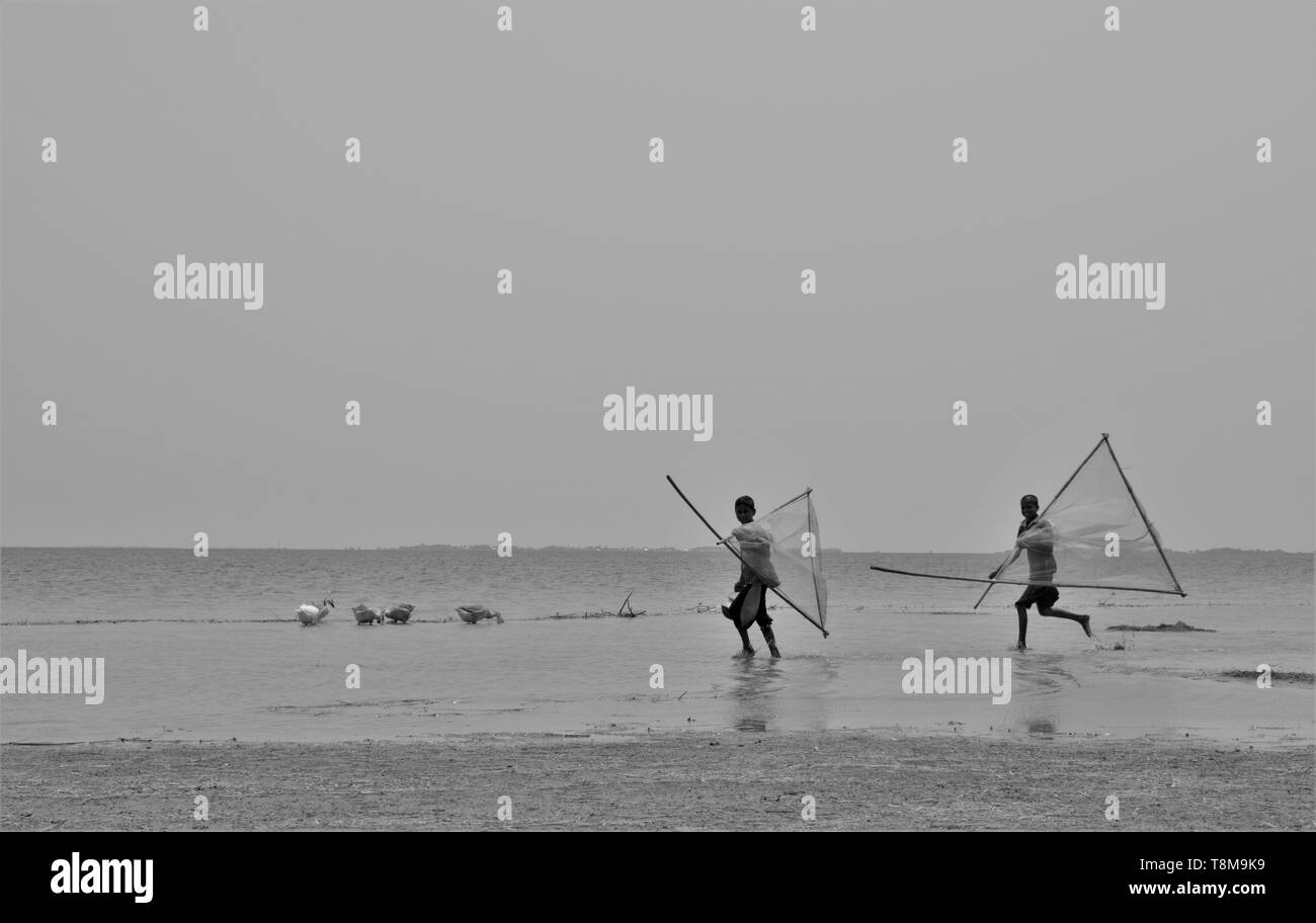 Surma fish hi-res stock photography and images - Alamy