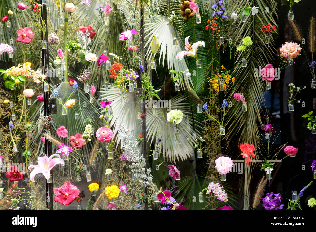 Colorful Flowers of the backdrop Stock Photo - Alamy