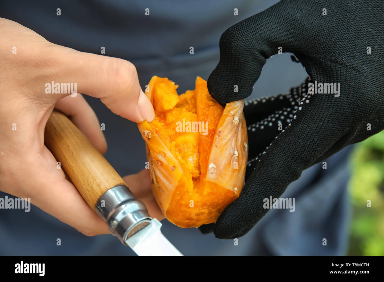 Peeling Pears High Resolution Stock Photography and Images - Alamy