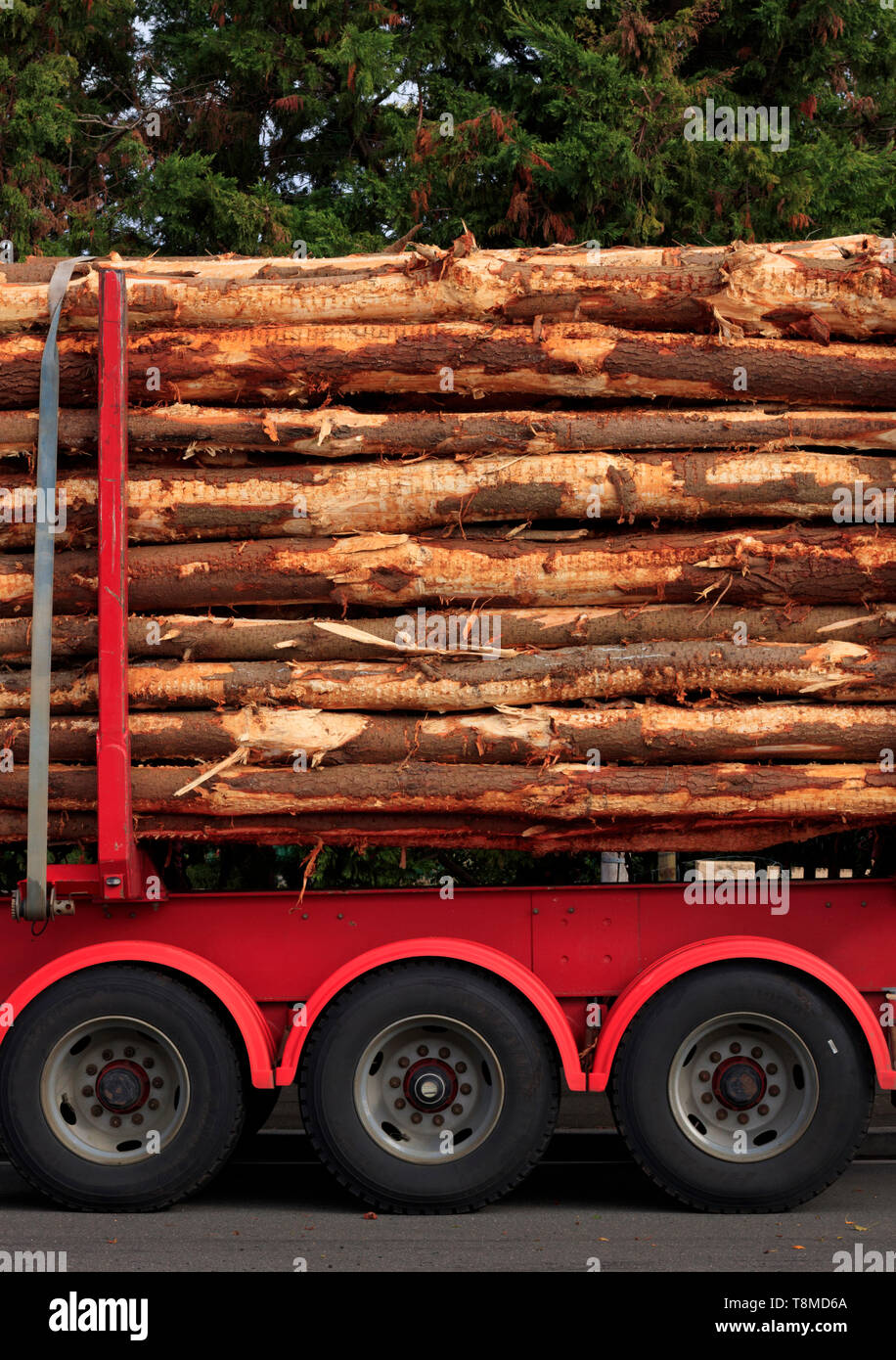 Timber truck hi-res stock photography and images - Alamy
