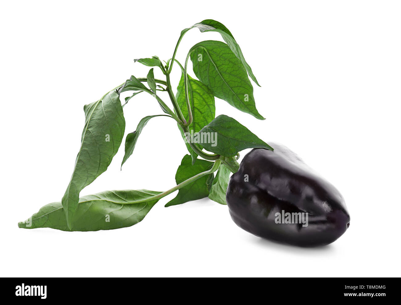 Fresh pepper on white background Stock Photo - Alamy