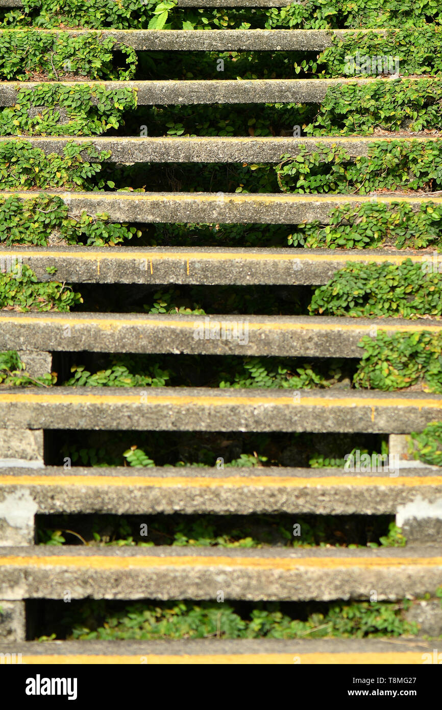 Stairs in a nature environment, nature and its patterns are inherently ...