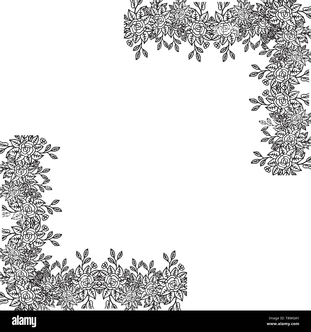 Vector illustration various flower frame with drawing design hand drawn ...