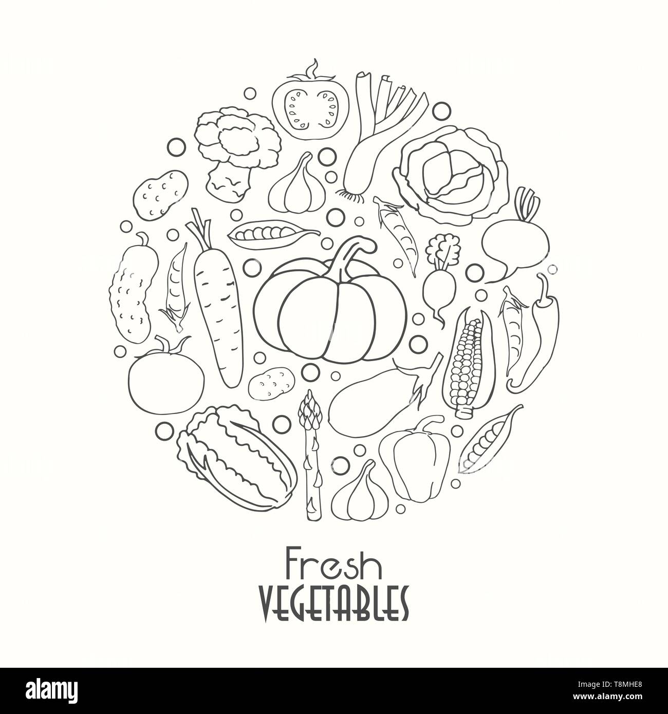 Stylish vegetables in a circle. Vector illustration for your design Stock Vector Image & Art - Alamy