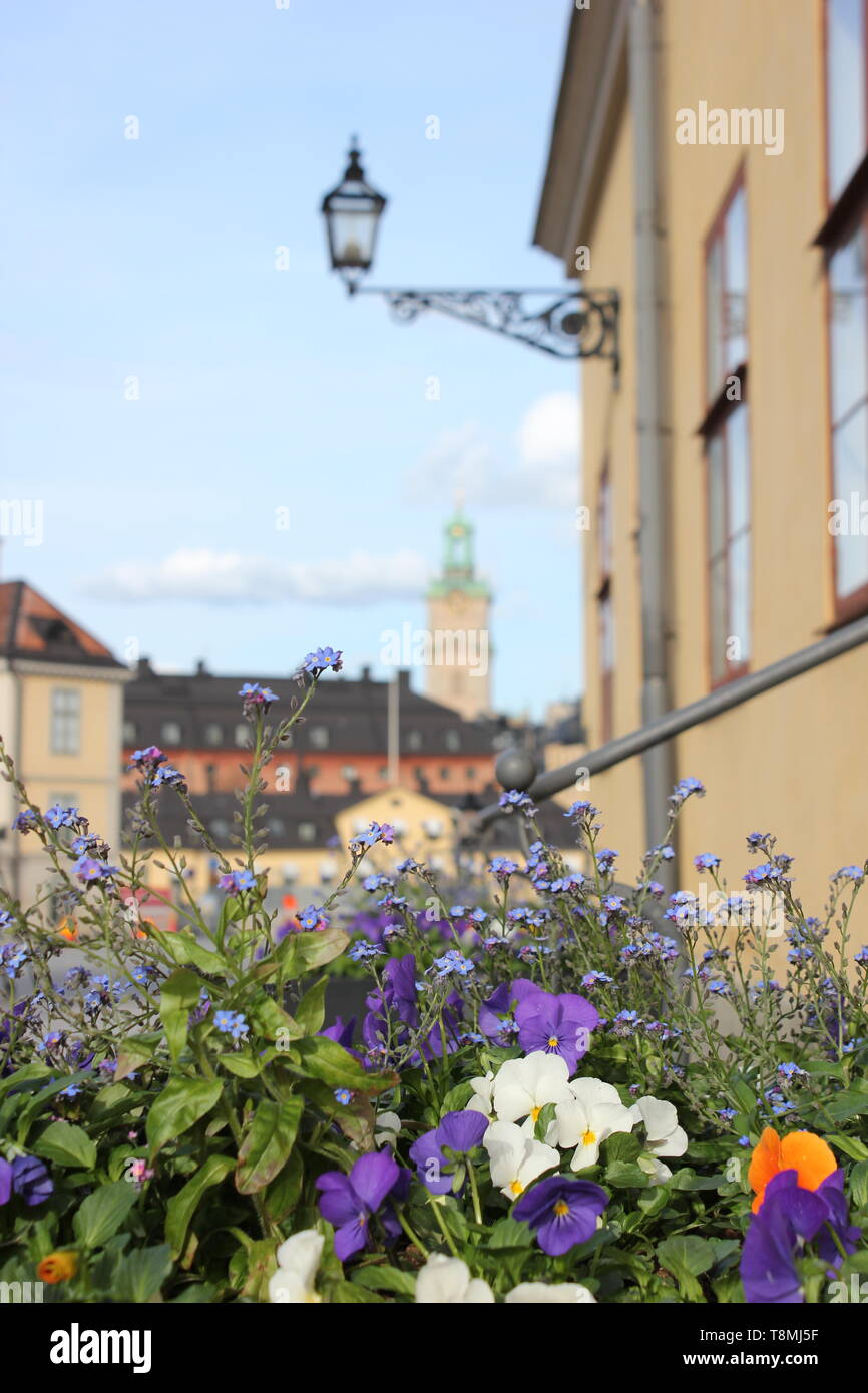 flowers and views of Stockholm Stock Photo - Alamy