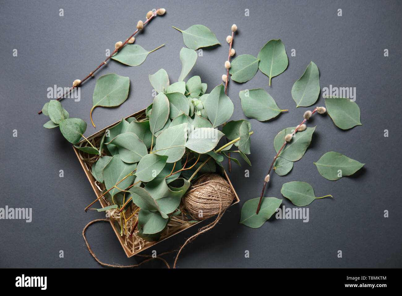 Box with fresh eucalyptus leaves and willow branches on grey background ...