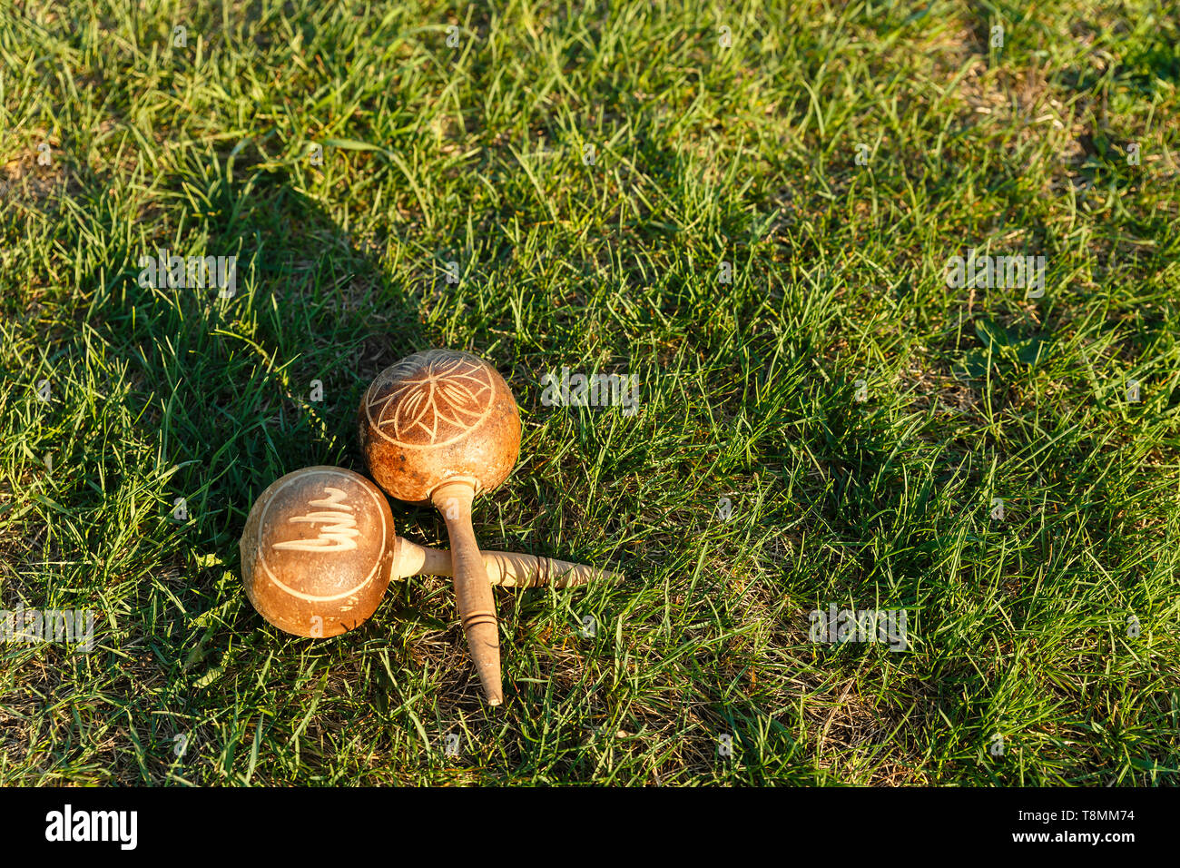 Cuban maracas lie on the green grass. Traditional musical instrument ...