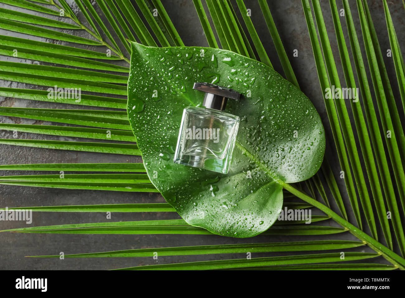 Perfume on green table hi-res stock photography and images - Alamy