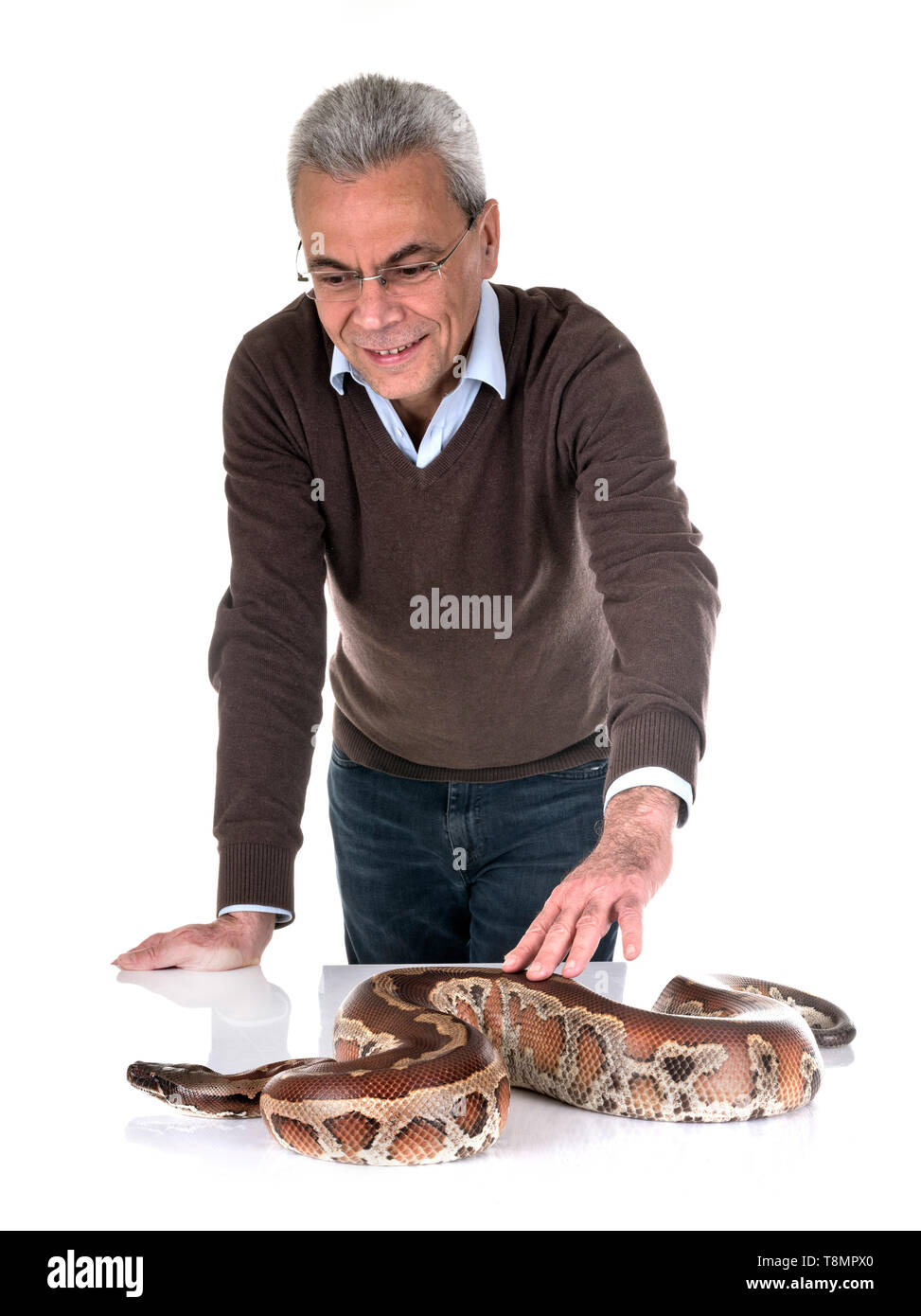 Python brongersmai and owner in front of white background Stock Photo ...