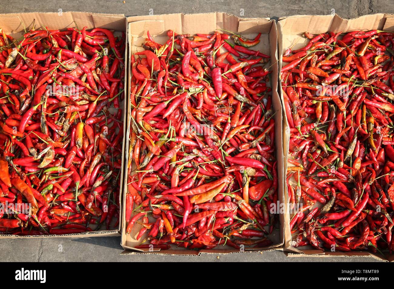 Chili peppers drying in sun hi-res stock photography and images - Alamy