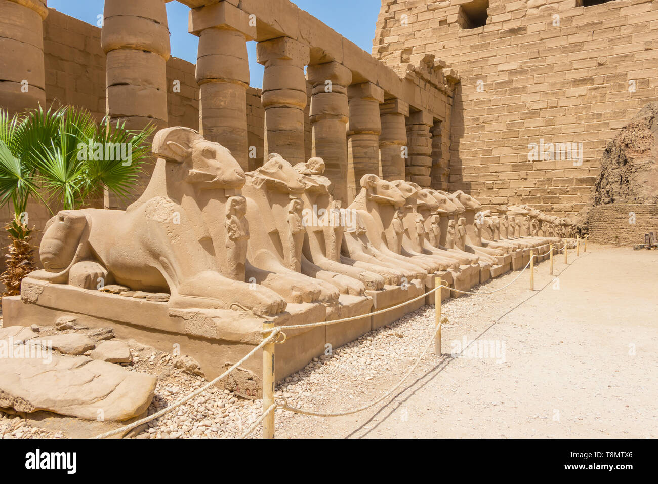 Avenue of Ram-headed Criosphinxes at the Temple of Amun, Karnak, Luxor ...