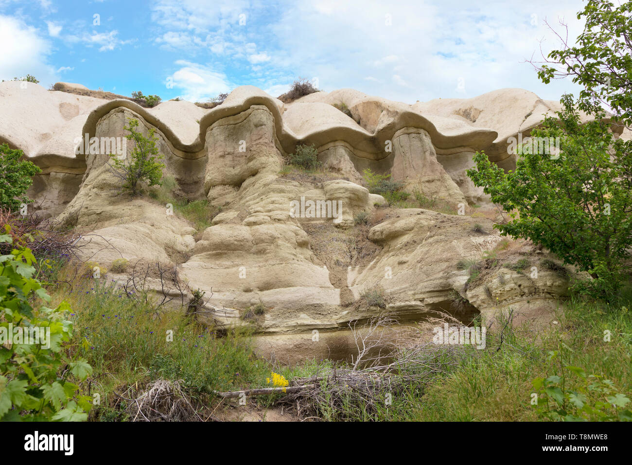 Red and white sandstone cliffs, ancient caves in a mountain landscape ...